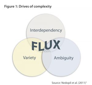 Understanding and Mastering Complexit - The European Business Review