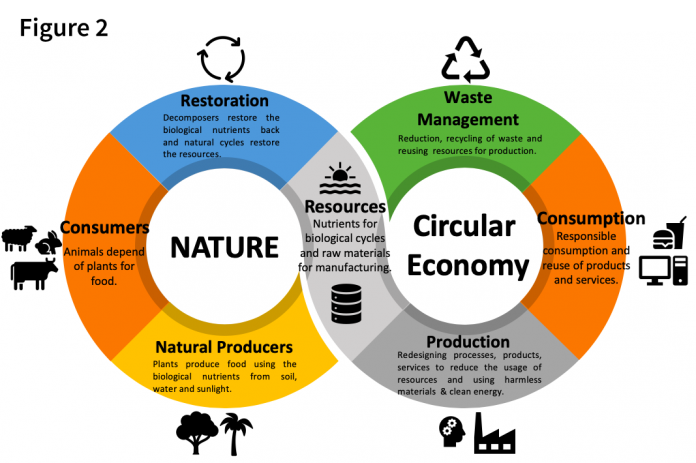 Circular Economy, Sustainability and Business Opportunities - The European Business Review