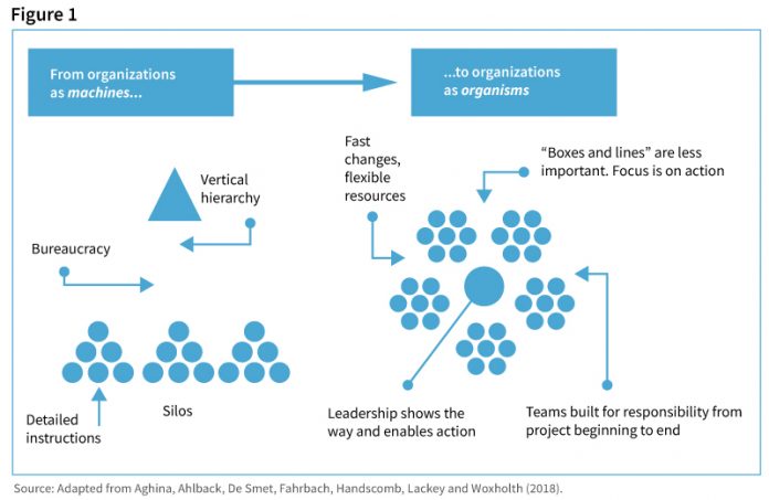 Agile Anarchy is the Name of the Future - The European Business Review