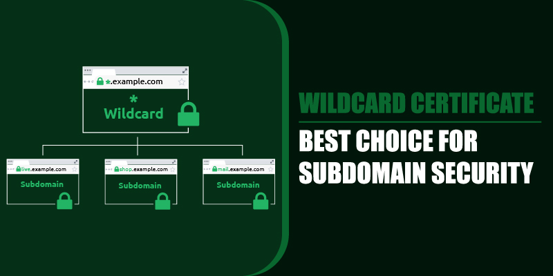 Wildcard Certificate - Best Choice for Subdomain Security - The European Business Review