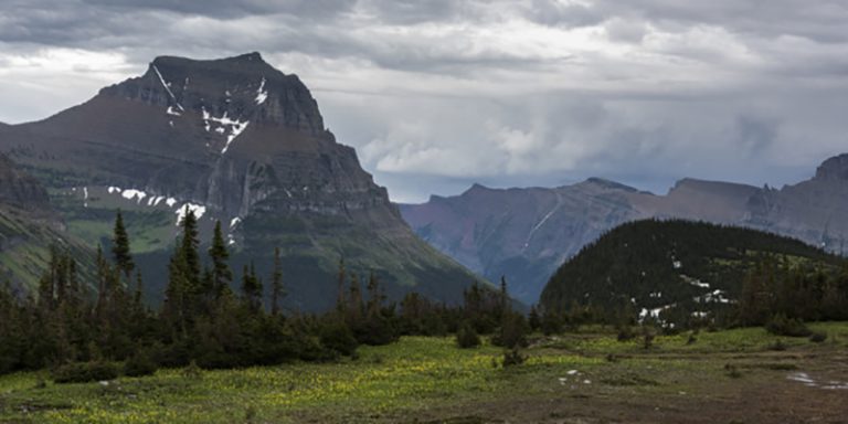 Climbing Mount Logan: Top 5 Things You Need To Know - The European ...