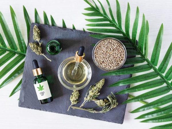 Amazing Facts about CBD - The European Business Review