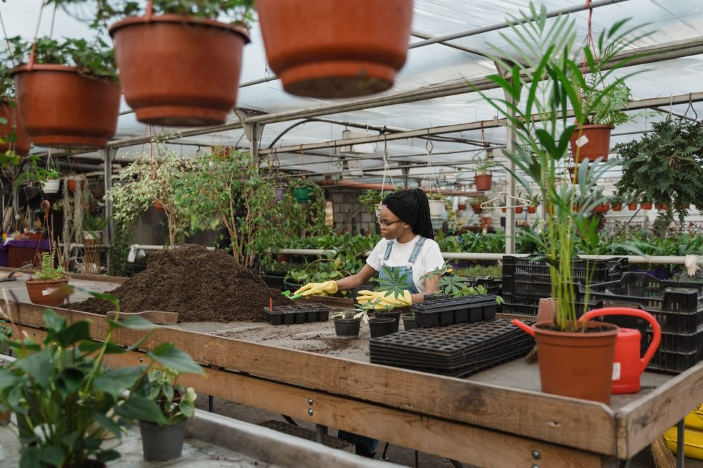 Grow Tents: Everything You Need To Know About - The European Business ...