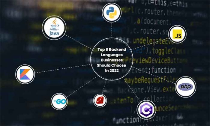Top 8 Backend Programming Languages to Learn in 2022- The European ...