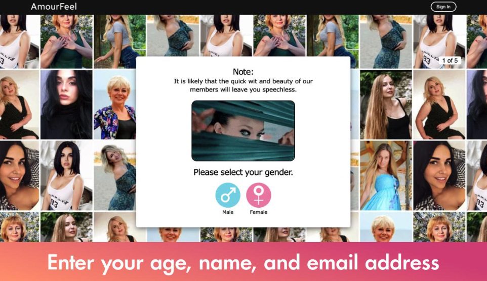 AmourFeel Dating Site Review. Is AmourFeel Legitimate?