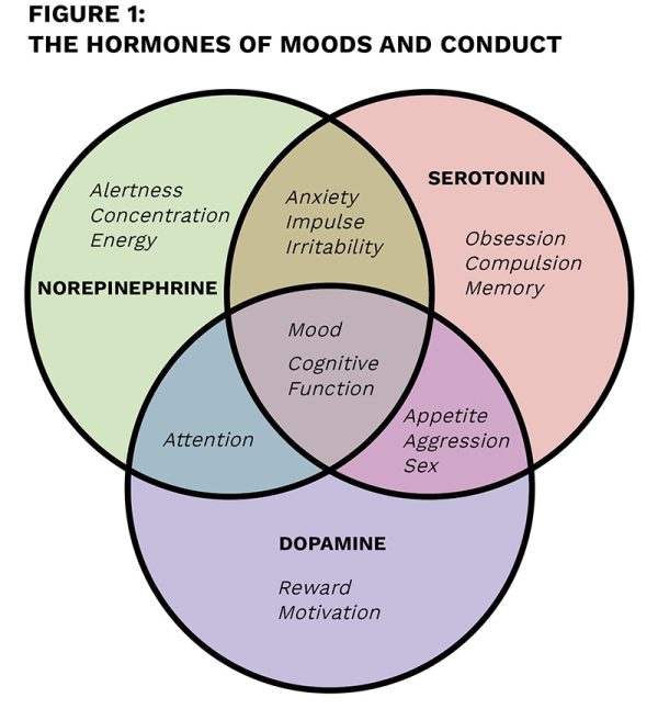The Use of Dopamine to Enhance Resilience in a Post COVID-19 Era ...