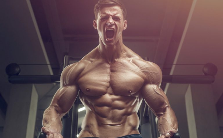 Deca Durabolin Cycle, Stacks, Results & Side Effects (Deca Cycle Guide ...