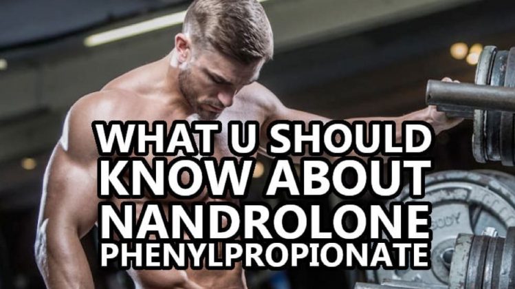 NPP Steroid Cycle, Results, Side Effects & Dosage before and after ...