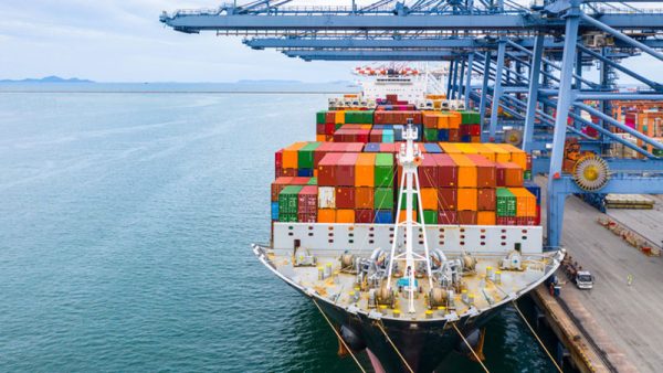 All About Shipping Companies: Key Insights - The European Business Review