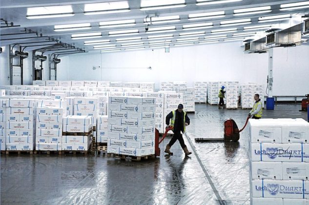 Why is Cold Chain Logistics Important for the Transportation of FMCG ...