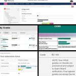 Which Is Currently the Best Assignment Help in The UK For College ...