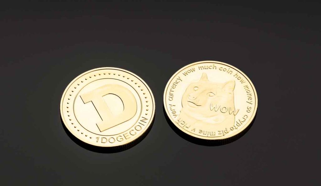 A Complete Guide on Buying Dogecoin on Guarda Securely - The European ...