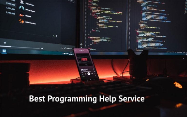 Best Programming Help Services - The European Business Review