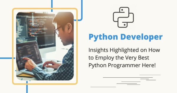 Insights Highlighted on How to Employ the Very Best Python Programmer ...