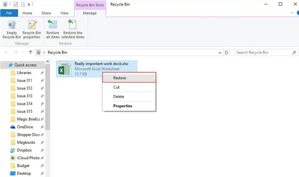 Detailed Guide on Recovering Deleted Photos on Windows or Mac - The ...