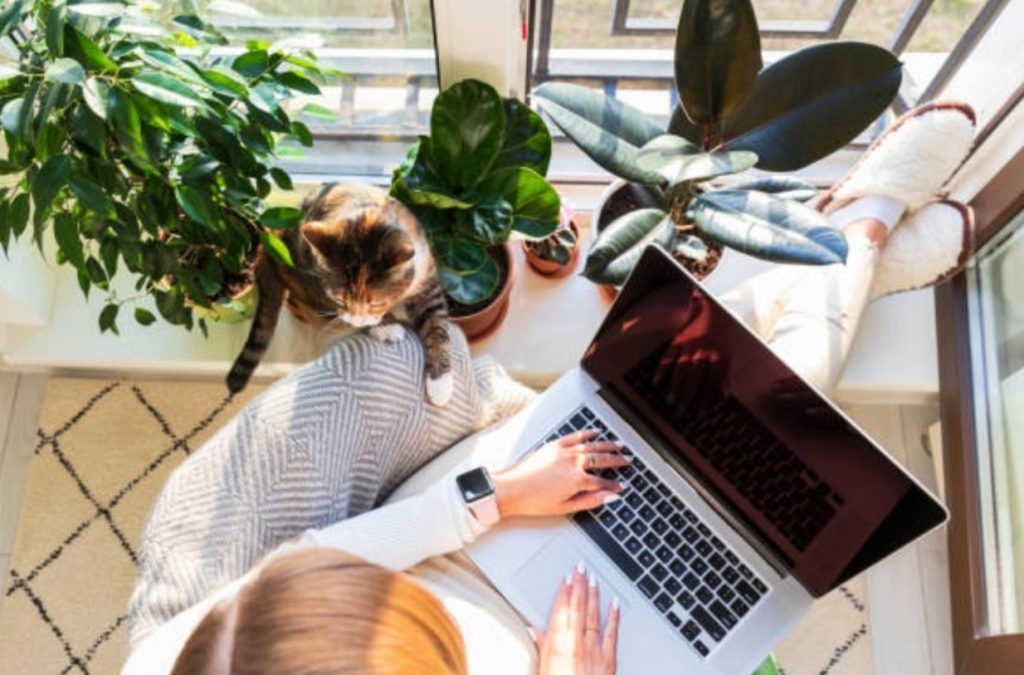 Work from Anywhere: Major Global Companies Are Successfully Embracing ...