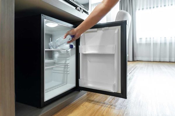 Can You Plug A Mini Fridge Into A Regular Outlet? - The European ...