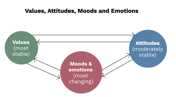Frontiers in the Neurobiology of Values: New Challenges for Mental ...