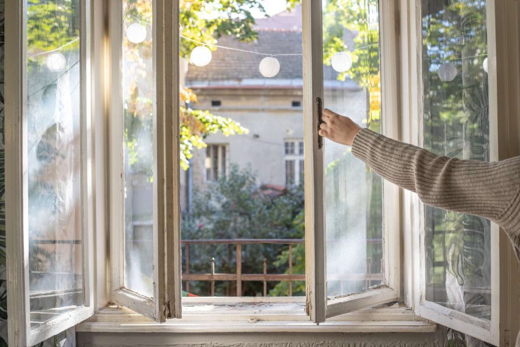 Here are the Top 5 Ways to Get Clean Air Without Harmful Chemicals ...