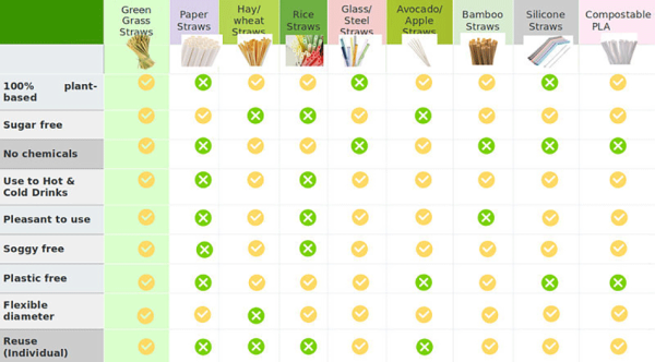 Comparing Eco-Friendly Plastic-Straw Alternatives : The Ultimate ...