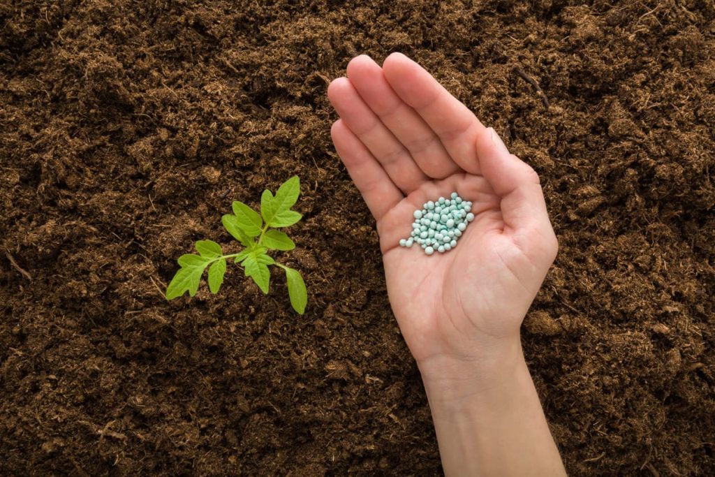The Importance of Fertilizers: The Secret Ingredient to Feeding the ...