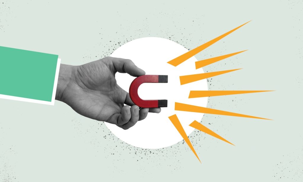 Magnetic Loyalty: Crafting Effective Loyalty Programmes that Attract ...