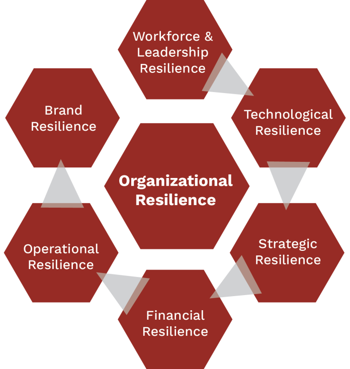 Towards the Building of Organisational Resilience: Uncovering the Key ...