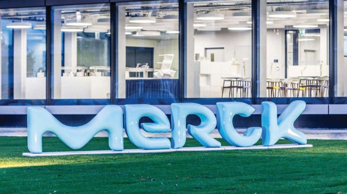 Curiosity: The Key to Innovation and Growth - The European Business Review