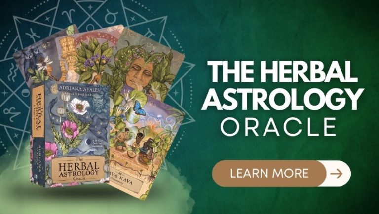 Best Oracle Cards in 2024: Decks for Beginners and Experts