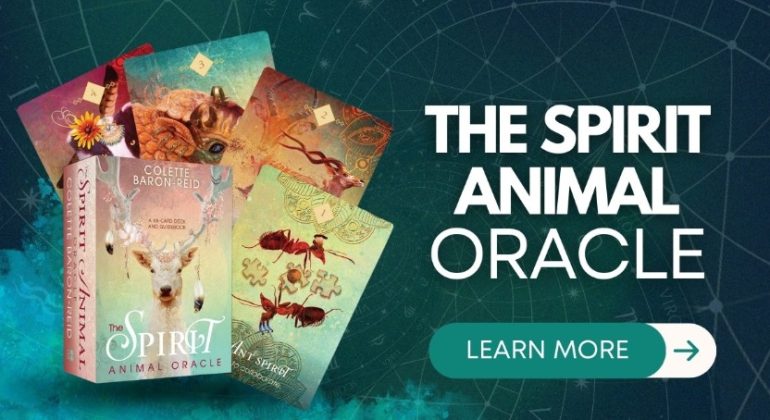 Best Oracle Cards in 2024: Decks for Beginners and Experts