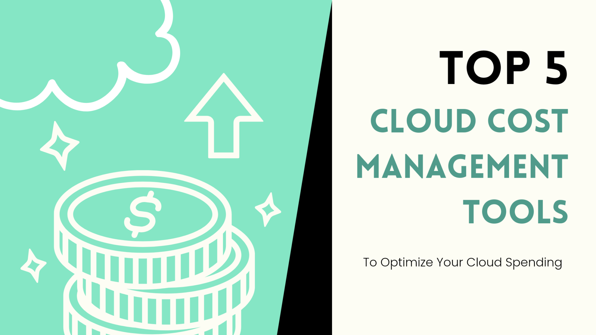 Top 5 Cloud Cost Management tools to Maximize your Cloud ROI