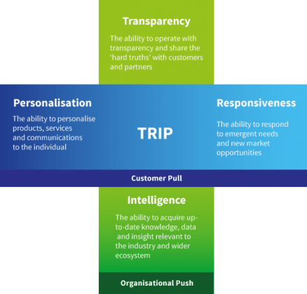 TRIP Framework: Re-Thinking Organisational Competitiveness in Digital ...