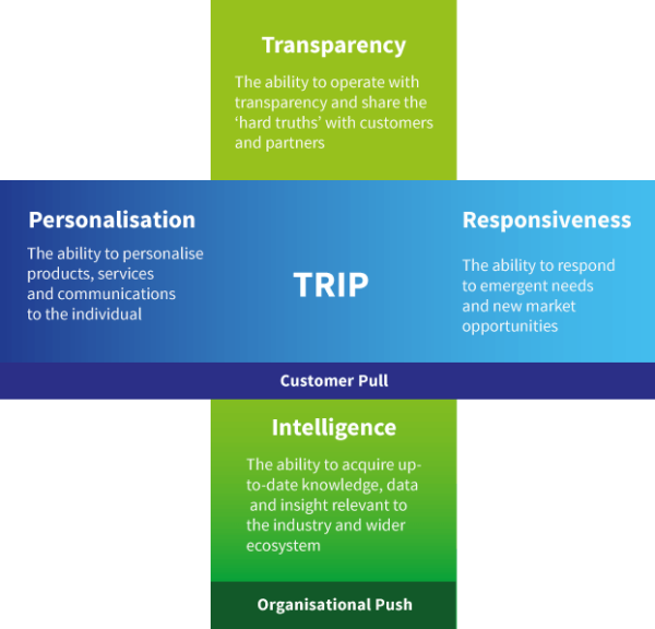 TRIP Framework: Re-Thinking Organisational Competitiveness in Digital ...